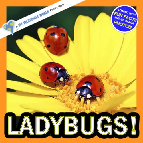 Ladybugs!: A My Incredible World Picture Book for Children by Hope ...
