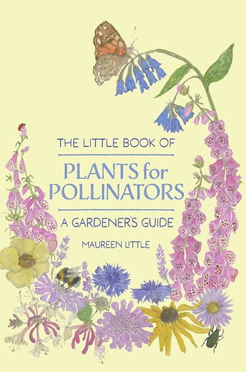 The Little Book of Plants for Pollinators by Maureen Little | Goodreads