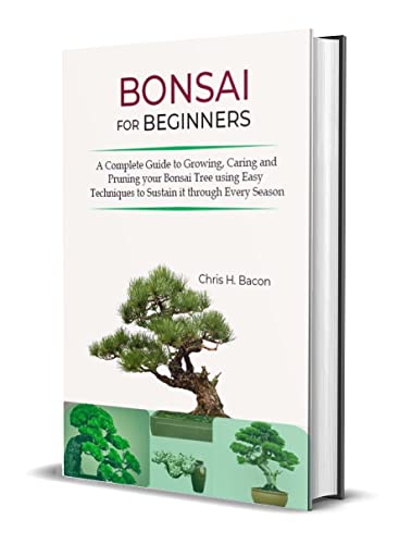 Bonsai for Beginners: A Complete Guide to Growing, Caring and Pruning ...