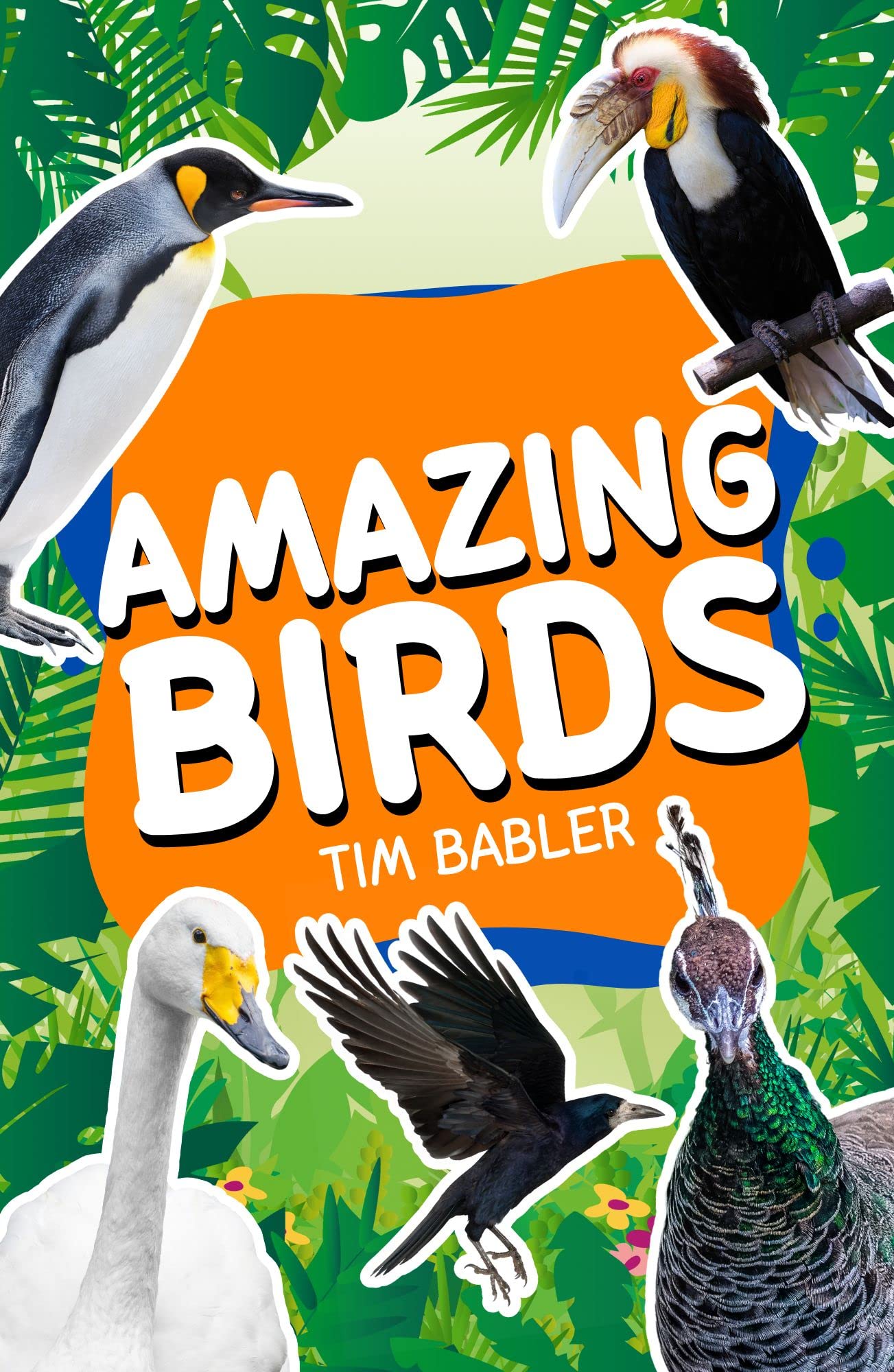 Amazing Birds: The Children's Guide to the World of Amazing Birds (High ...