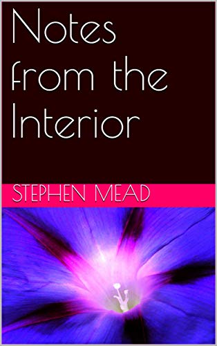 Notes from the Interior by Stephen Mead | Goodreads