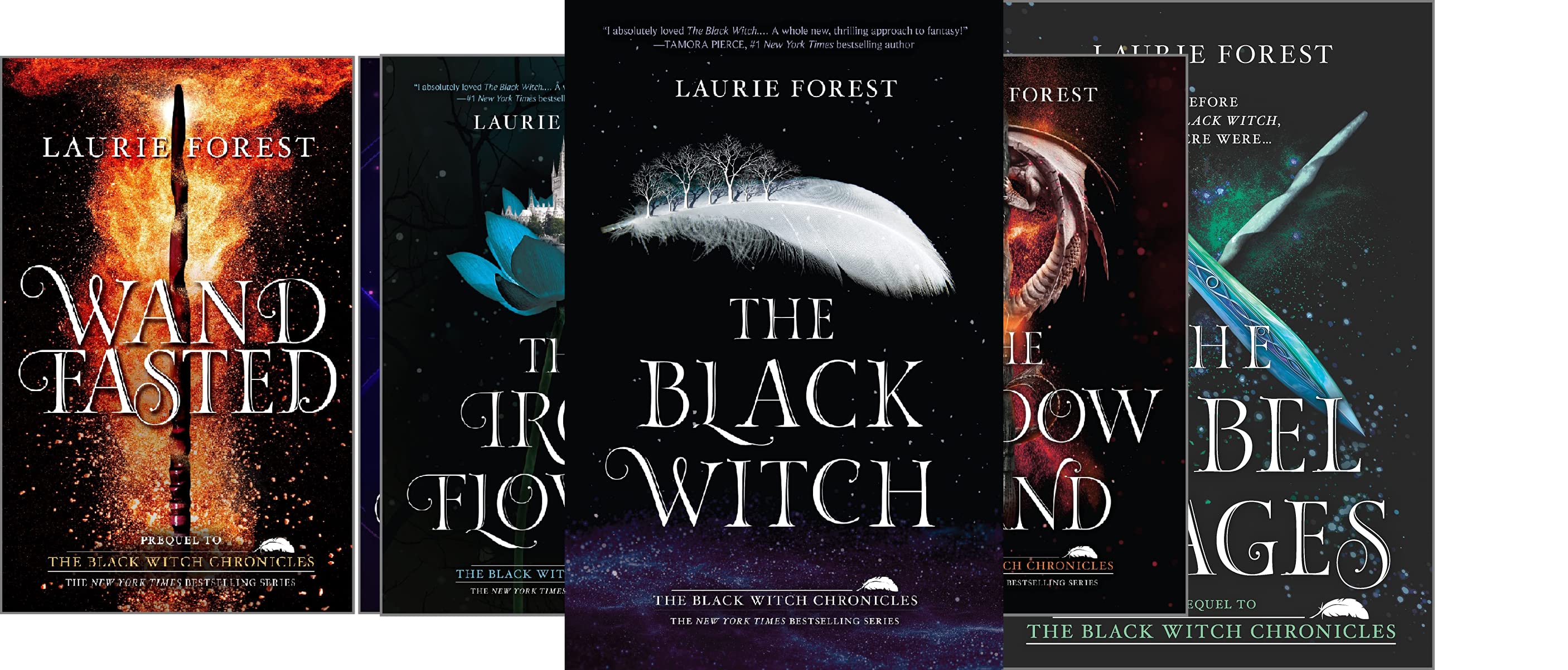 The Black Witch Chronicles by Laurie Forest | Goodreads