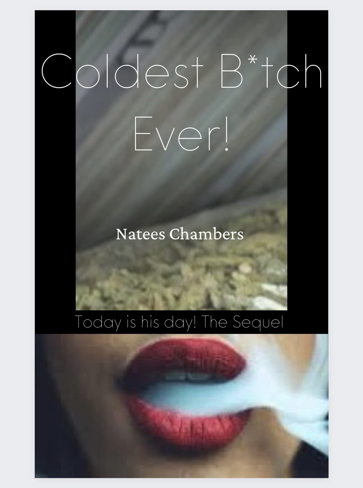 The Coldest Bitch Ever! by Natees Chambers | Goodreads