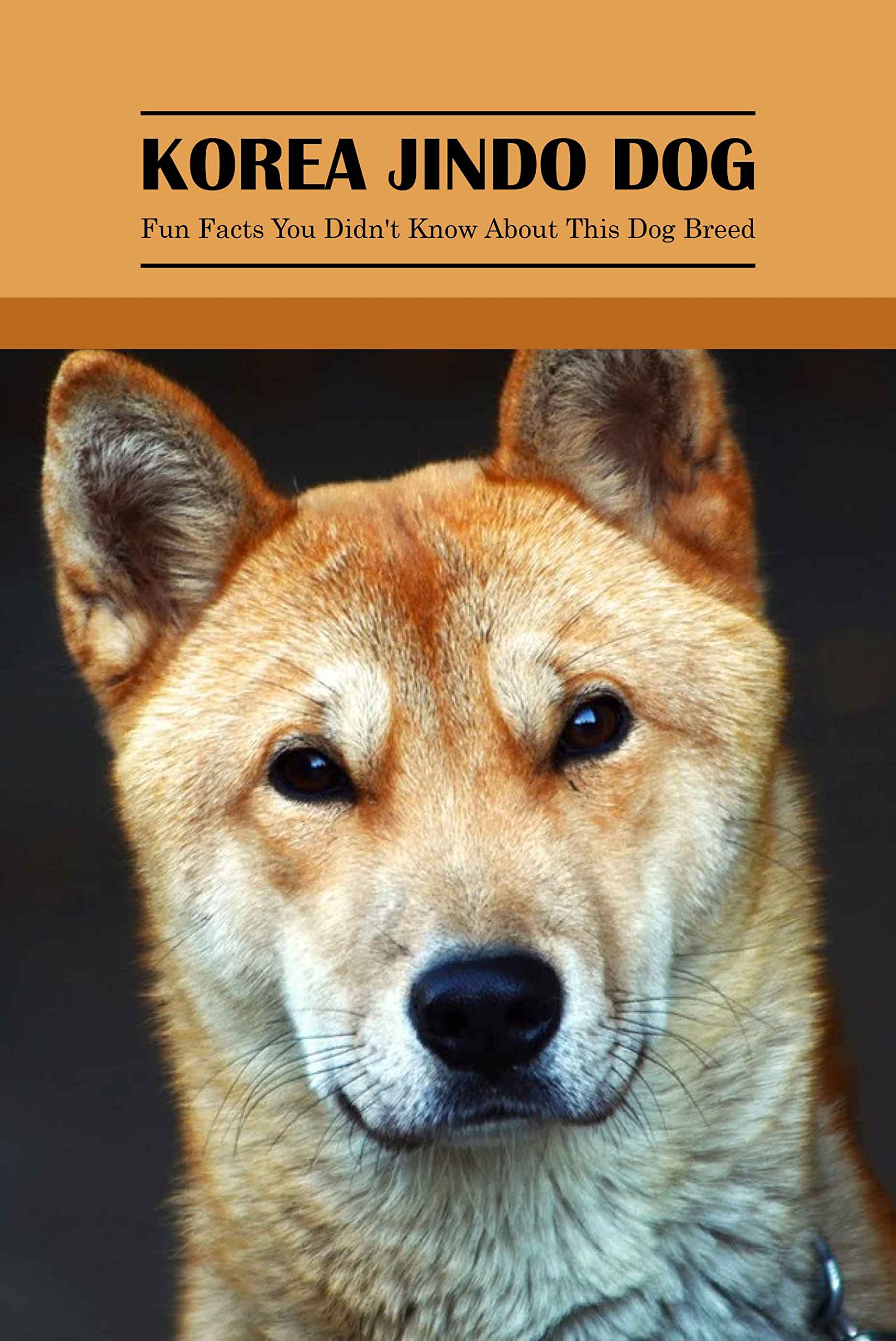 Korea Jindo Dog: Fun Facts You Didn't Know About This Dog Breed by ...