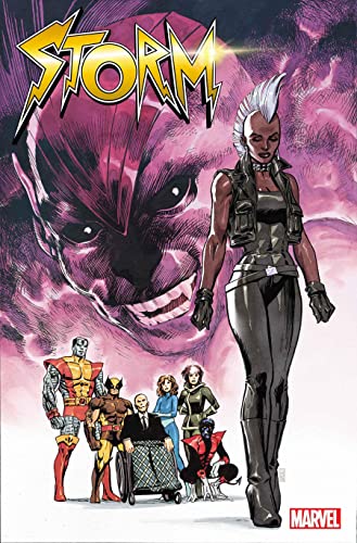 Storm (2023) #4 by Ann Nocenti | Goodreads