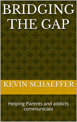 Bridge the Gap by Kevin Schaeffer | Goodreads