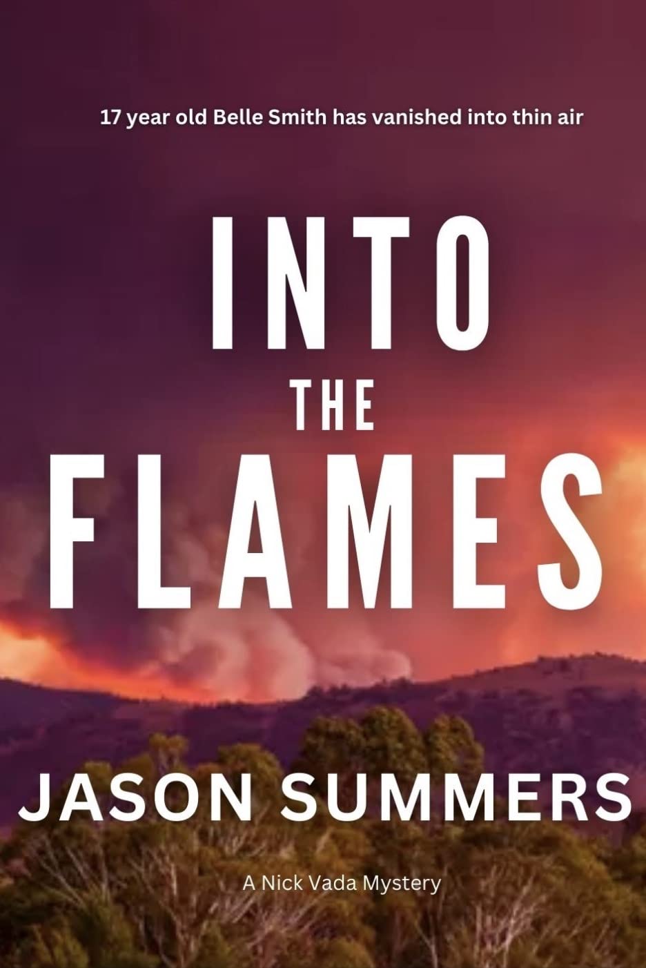 Into The Flames (A Nick Vada Thriller #2) by Jason Summers | Goodreads