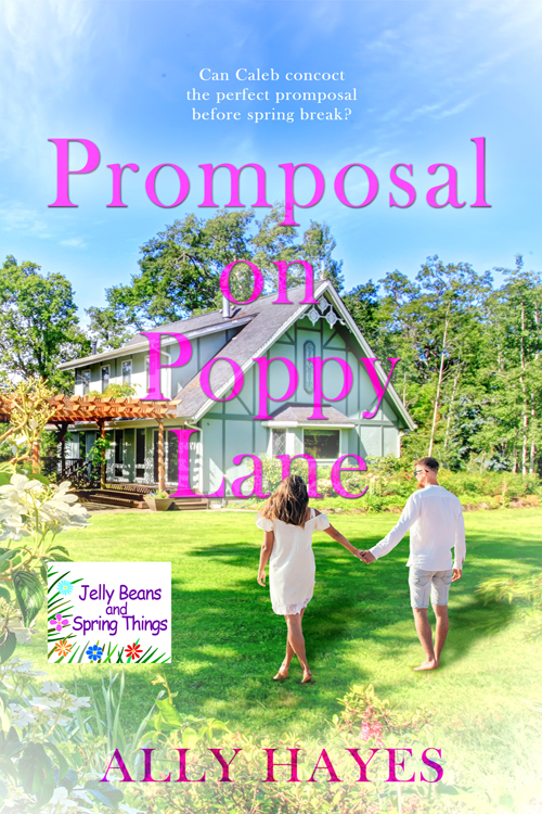 Promposal On Poppy Lane by Ally Hayes | Goodreads