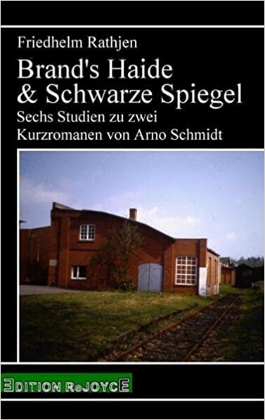 Brand’s Haide & Schwarze Spiegel: Sechs Studien zu zwei Kurzromanen von ...