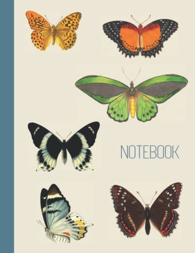 Butterfly College Ruled Notebook: Butterfly Composition Notebook for ...