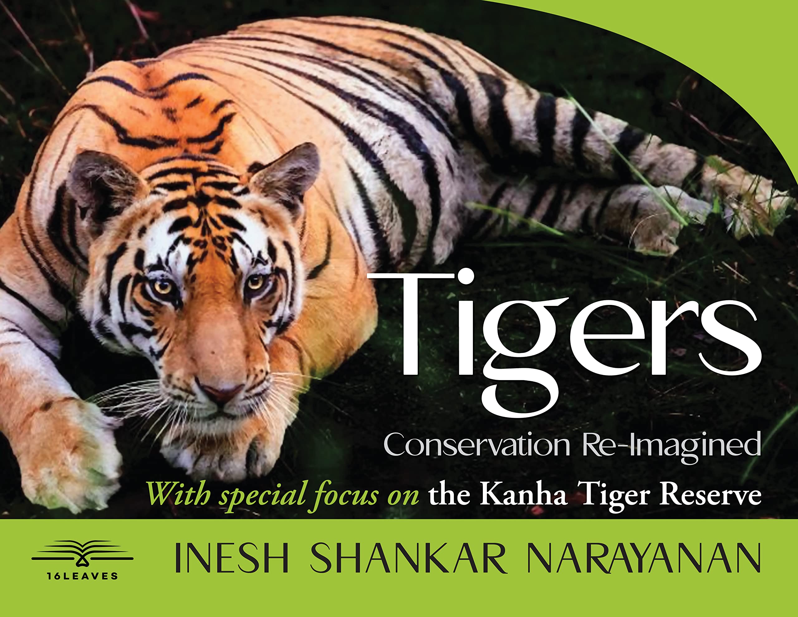 Tigers: Conservation Re-Imagined: With Special Focus on the Kanha Tiger ...