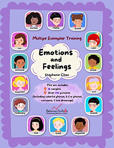 Multiple Exemplar Training - Emotions and Feelings: Vocabulary Builder ...