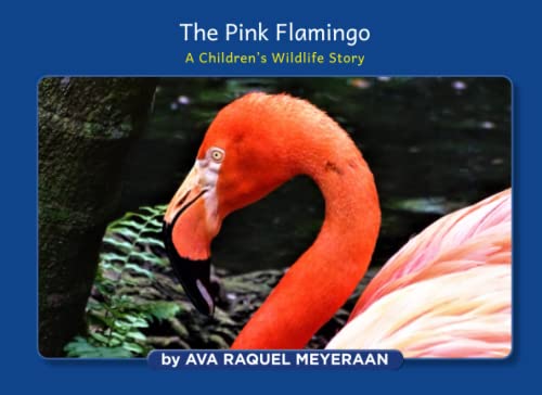 The Pink Flamingo: A Children's Wildlife Story by Ava Raquel Meyeraan ...