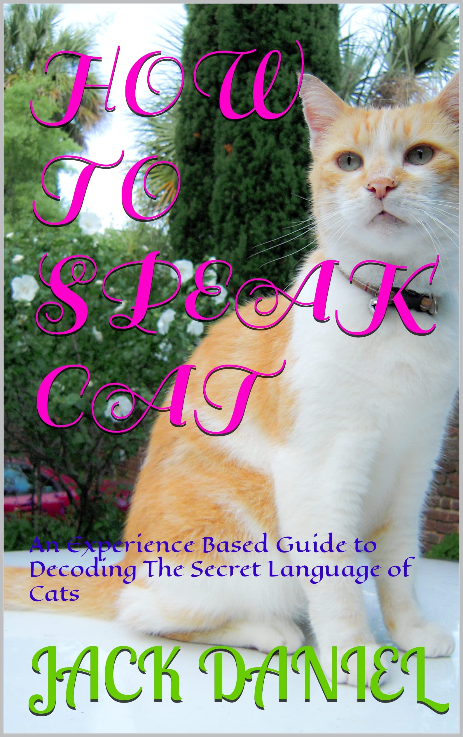 HOW TO SPEAK CAT: An Experience Based Guide to Decoding The Secret ...