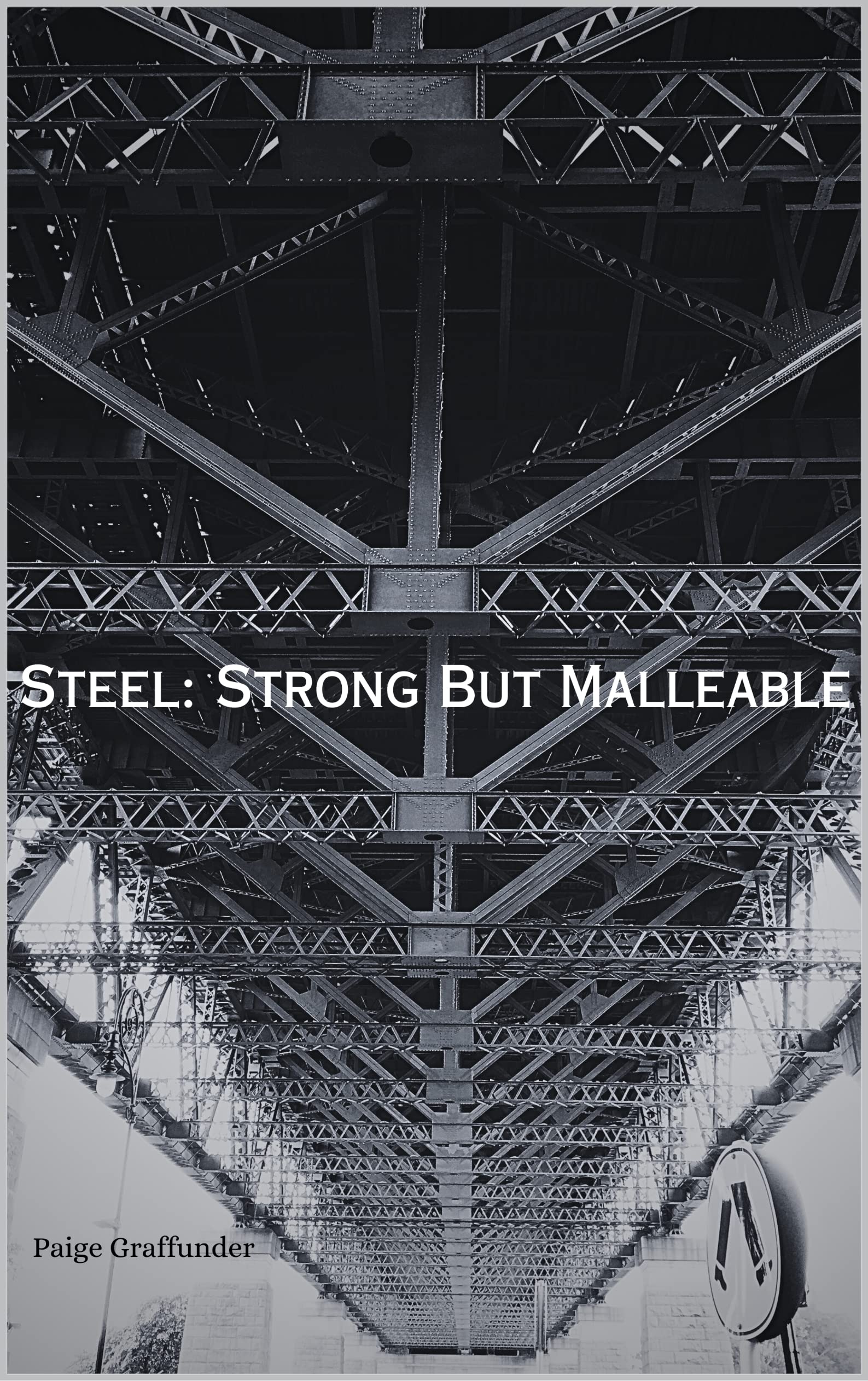 Steel: Strong But Malleable by Paige Graffunder | Goodreads