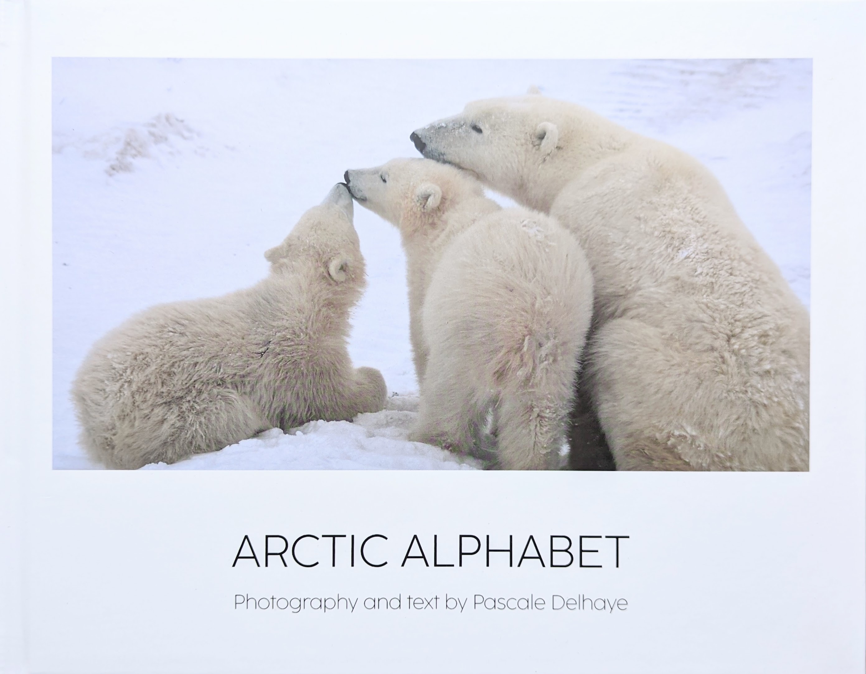 Arctic Alphabet by Pascale Delhaye | Goodreads