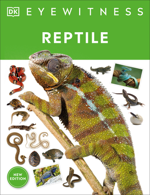 Eyewitness Reptile (DK Eyewitness) by Colin McCarthy | Goodreads
