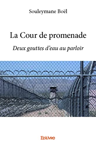 La Cour de promenade (French Edition) by Souleymane Boël | Goodreads