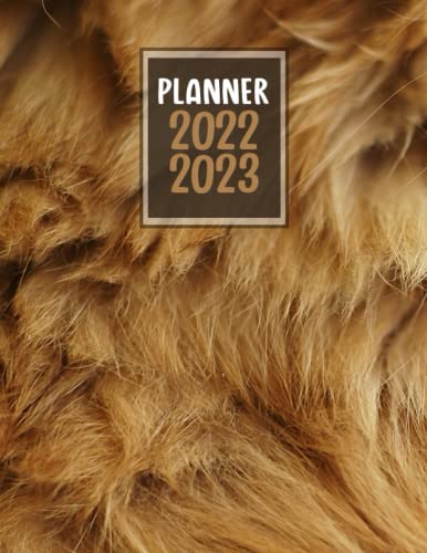 Teacher Lesson Planner 2022 2023: Teacher Lesson Planner with Lion Skin ...