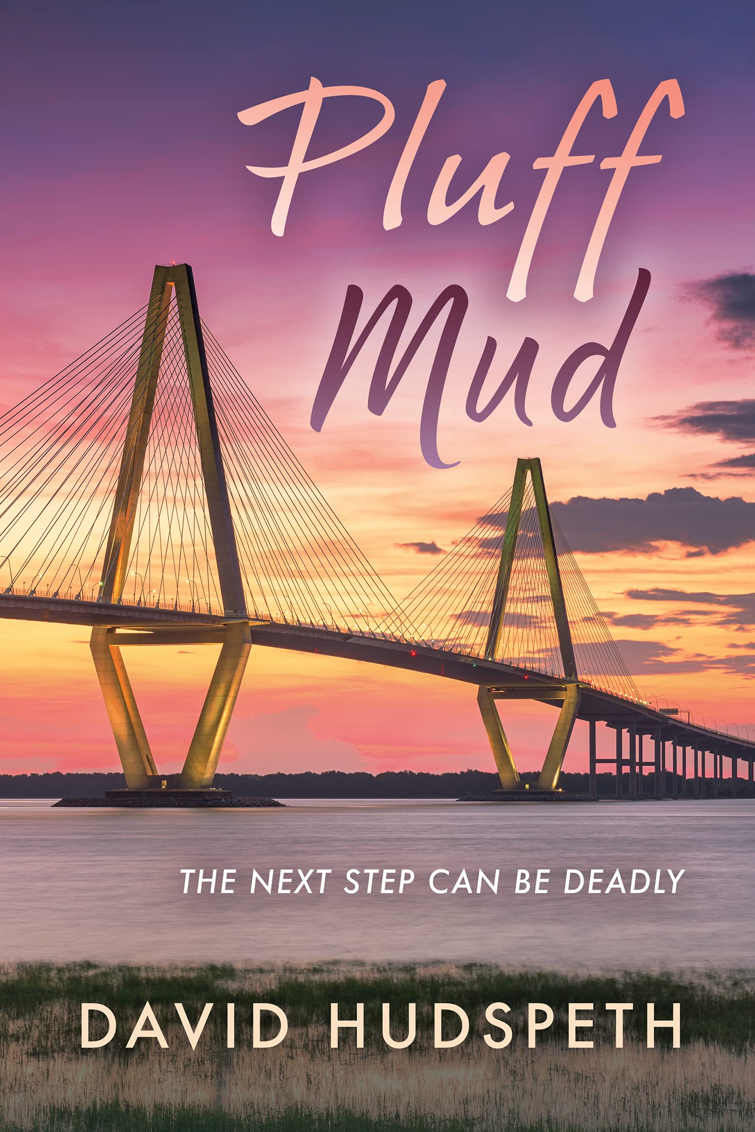 Pluff Mud: the next step can be deadly by David Hudspeth | Goodreads