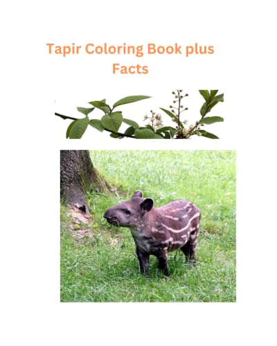 Tapir Coloring Book Plus Facts for Kids: Color and learn interesting ...