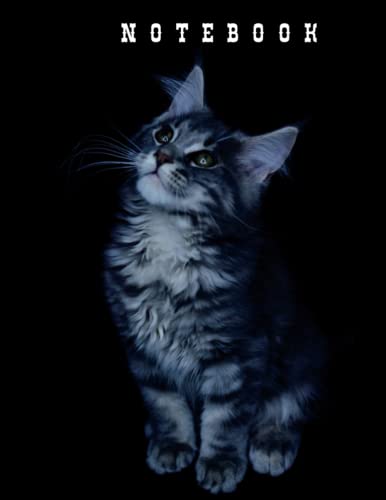 cats : notebook, diary for students, studying, homework, work meow ...