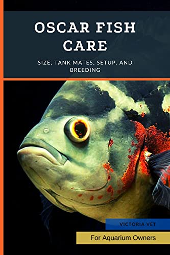 Oscar Fish Care: Size, Tank Mates, Setup, and Breeding by Victoria Vet ...