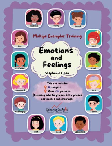 Multiple Exemplar Training - Emotions and Feelings: Vocabulary Builder ...