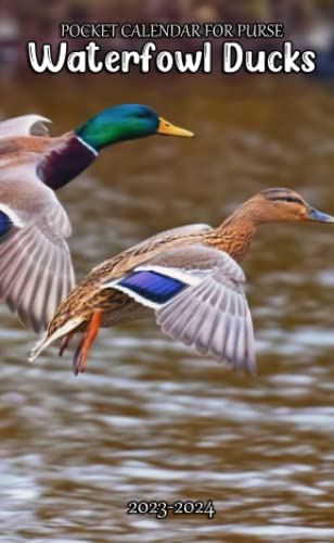 2023-2024 Waterfowl Ducks Pocket Calendar: 2 Year Monthly Planner With ...