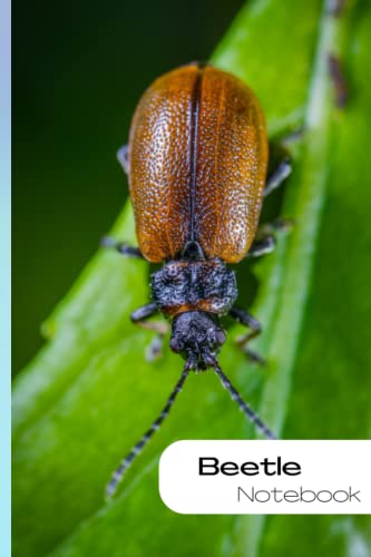 Beetle Notebook: Beetle Notebook for Capturing Memories, Writing Notes ...