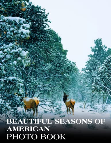 Beautiful Seasons Of American Photo Book: Picture Book Of Beautiful ...