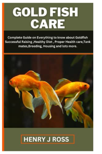 GOLDFISH CARE: Complete Guide on Everything to know about Goldfish ...
