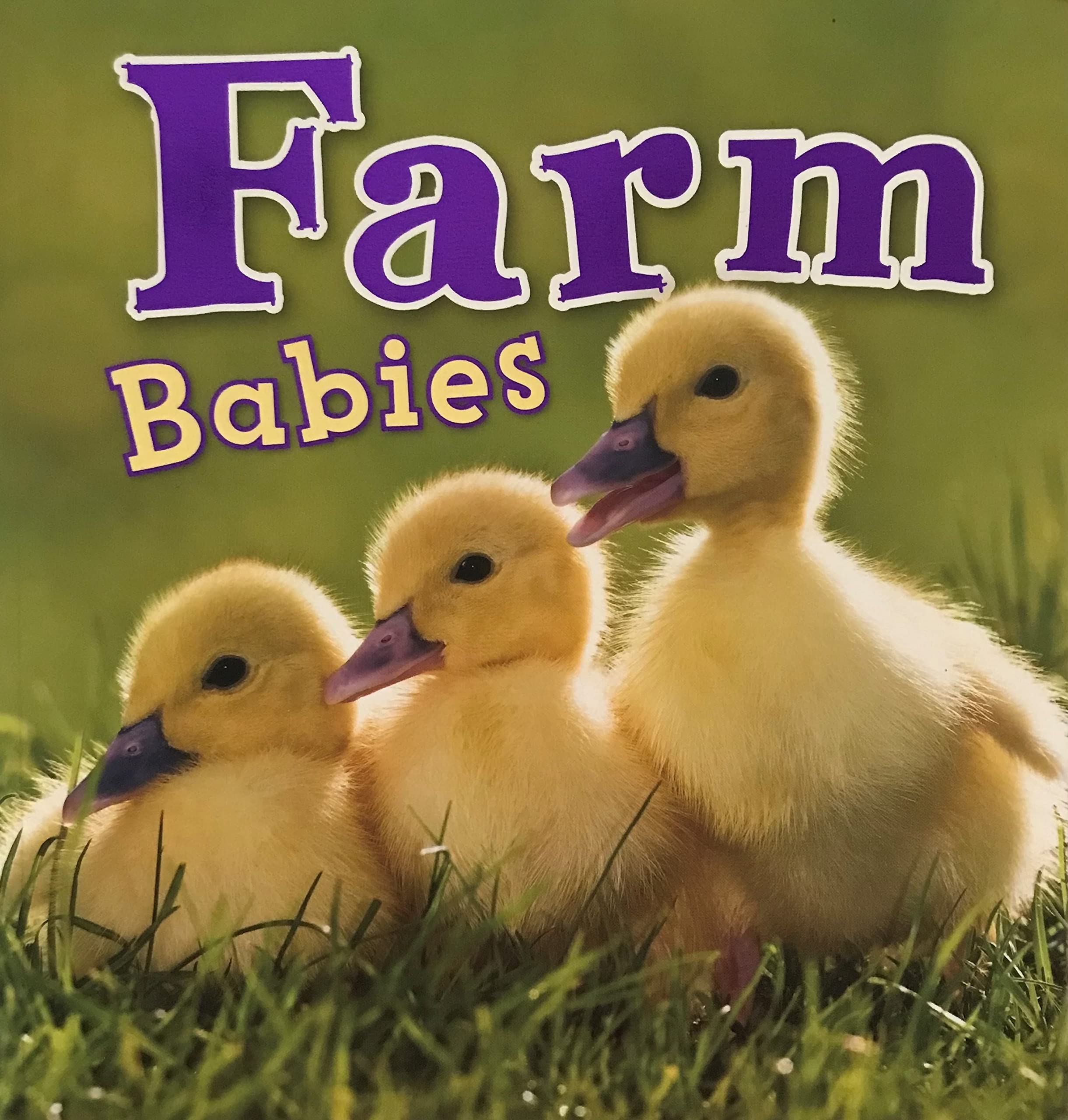 Farm Babies by designer Tracy Killick Art Direction & Design | Goodreads