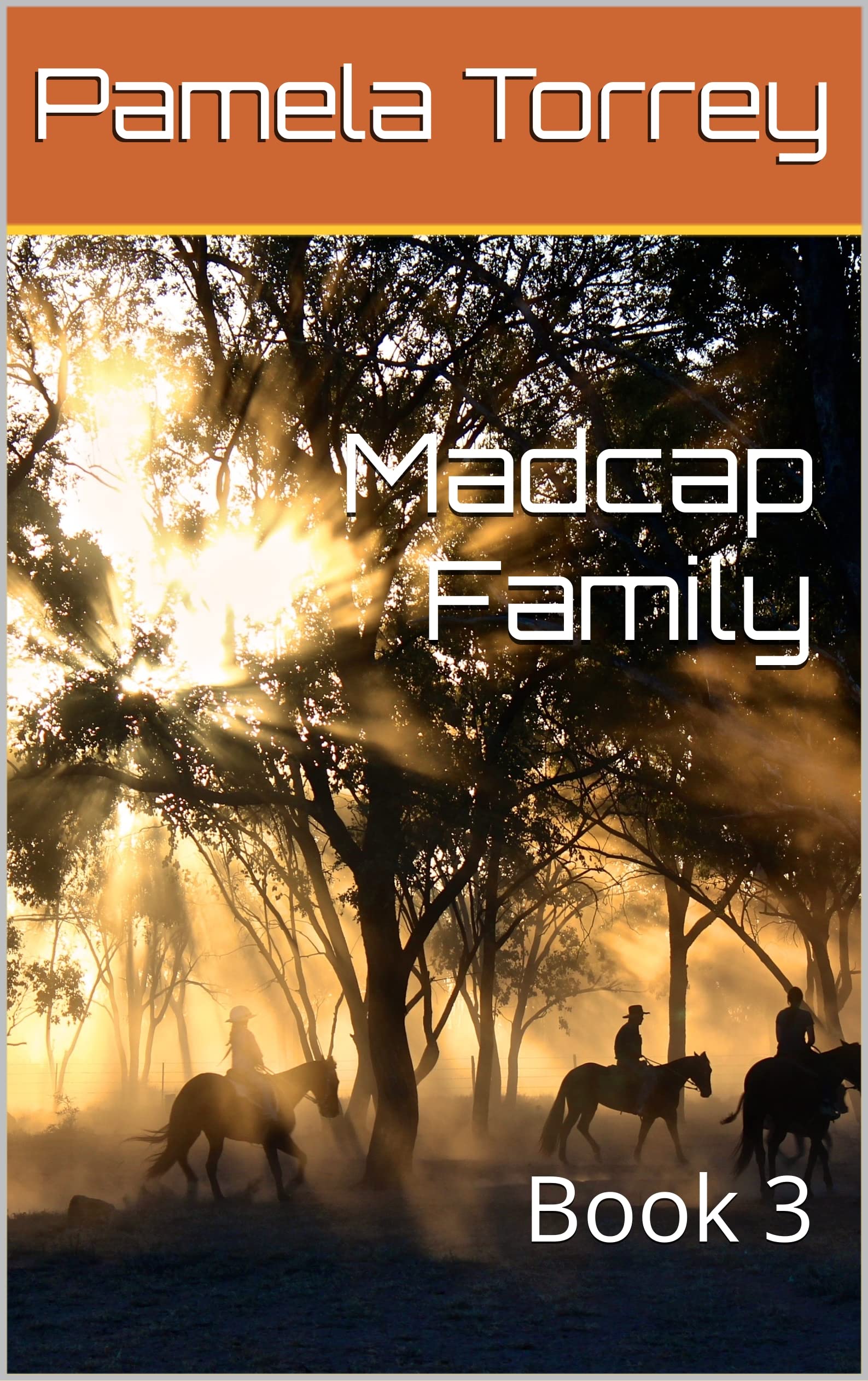 Madcap Family: Book 3 (Madcap Family Series) by Pamela Torrey | Goodreads
