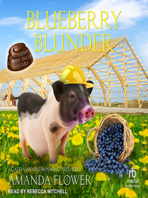 Blueberry Blunder (An Amish Candy Shop Mystery #8) by Amanda Flower ...