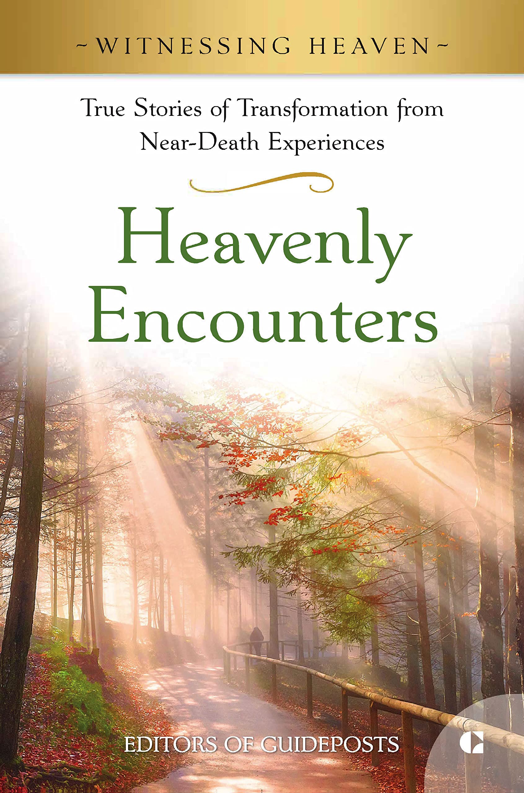 Heavenly Encounters: True Stories of Transformation from Near-Death ...