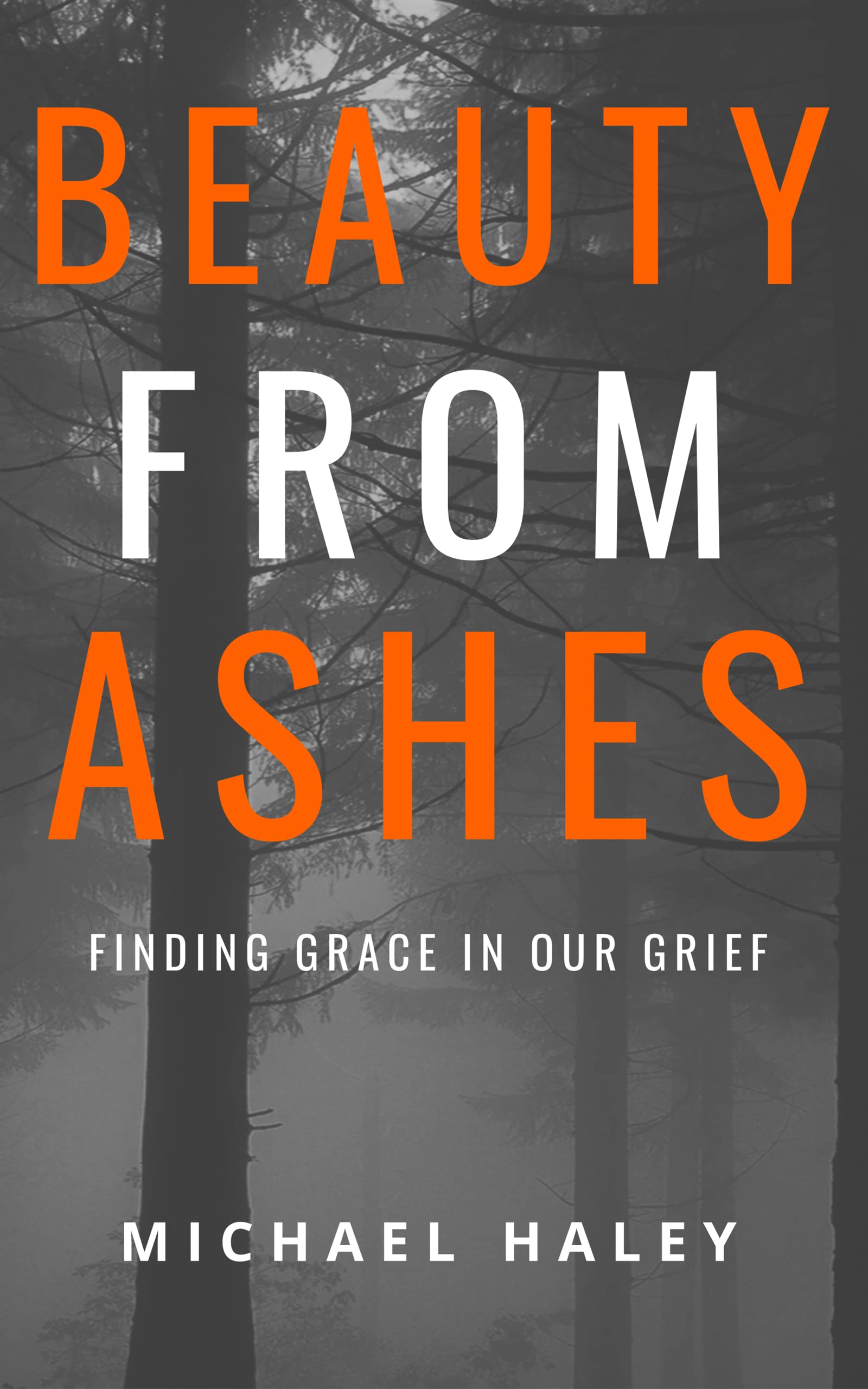 BEAUTY FROM ASHES: FINDING GRACE IN YOUR GRIEF by Michael Haley | Goodreads