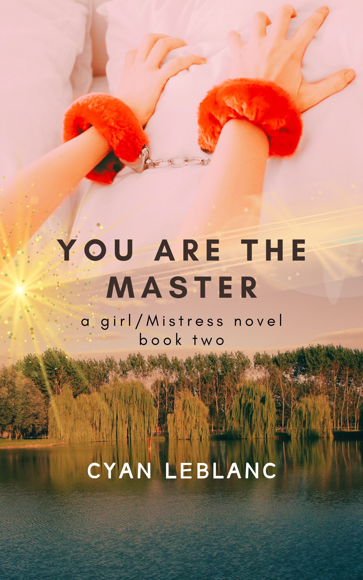 You Are The Master (A girl/Mistress Story, #2) by Cyan LeBlanc | Goodreads