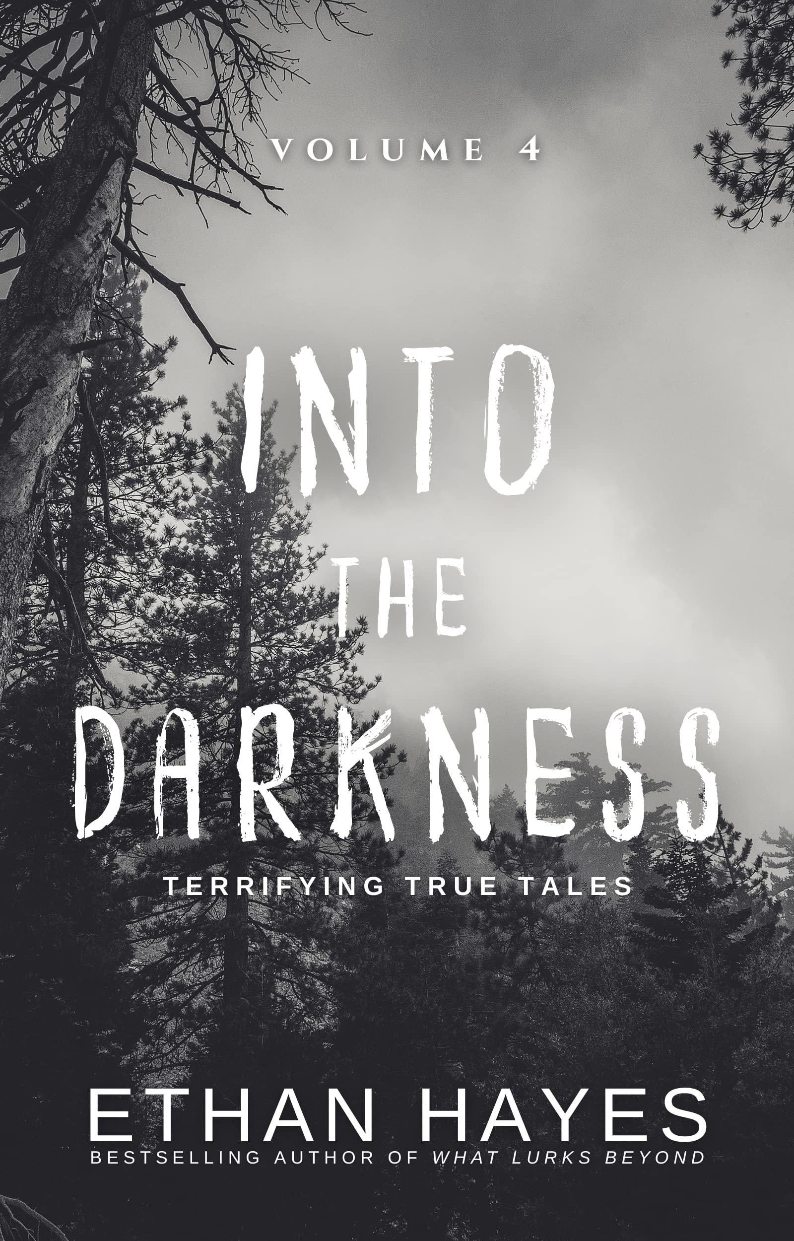 Into the Darkness: Terrifying True Tales: Volume 4 by Ethan Hayes | Goodreads