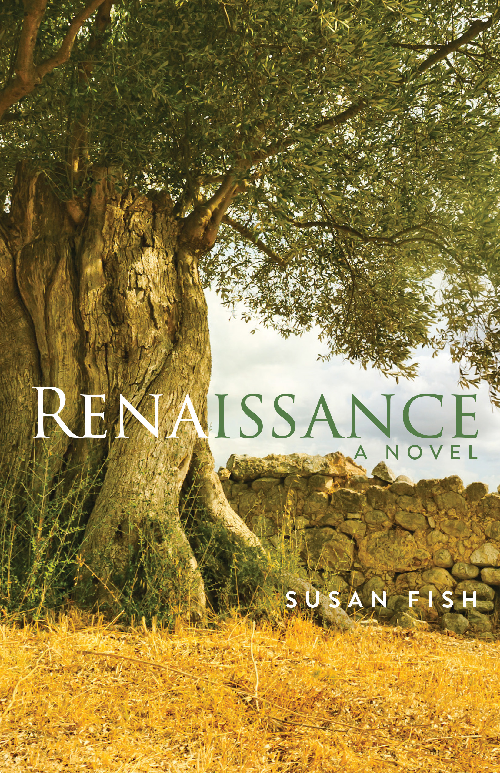 Renaissance by Susan Fish | Goodreads