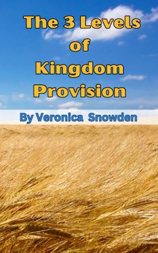 The 3 Levels of Kingdom Provision: Discover How To Access Kingdom ...