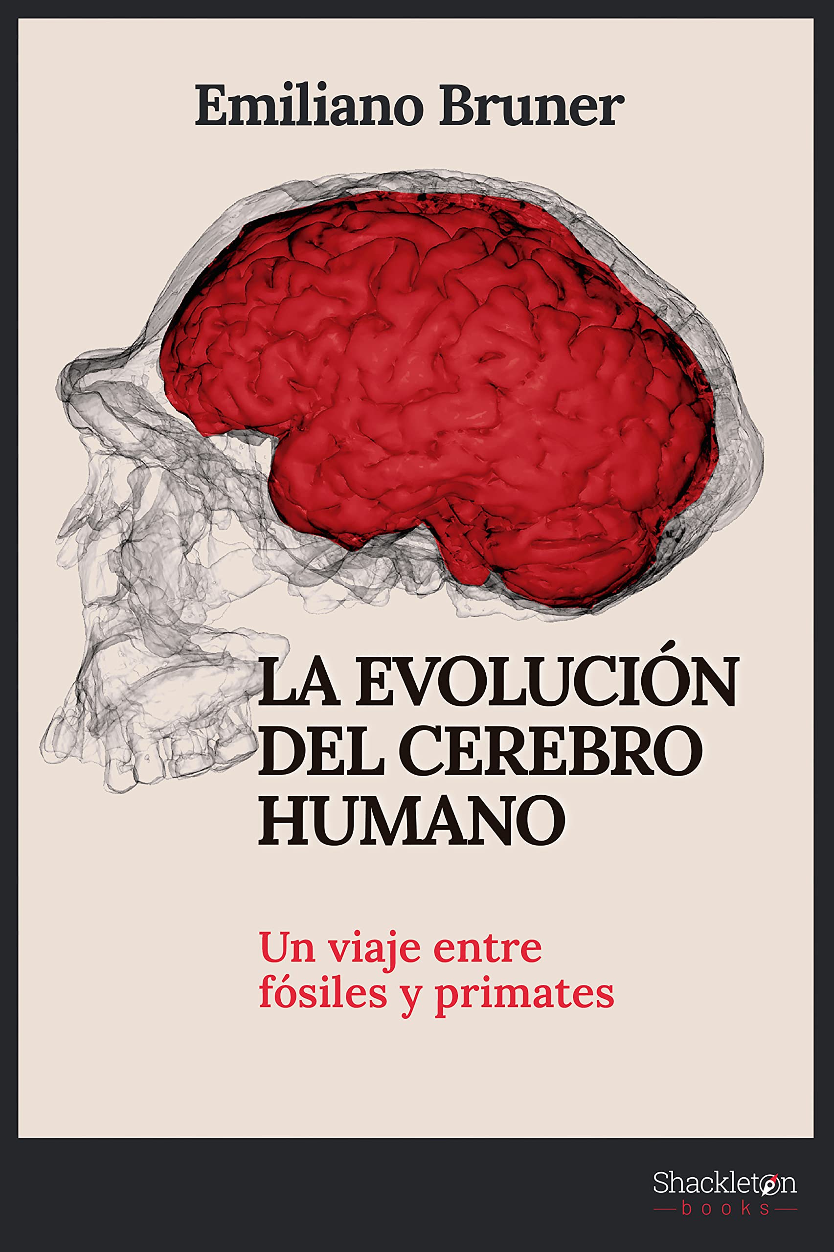 La evolución del cerebro humano: Un viaje entre fósiles y primates ...