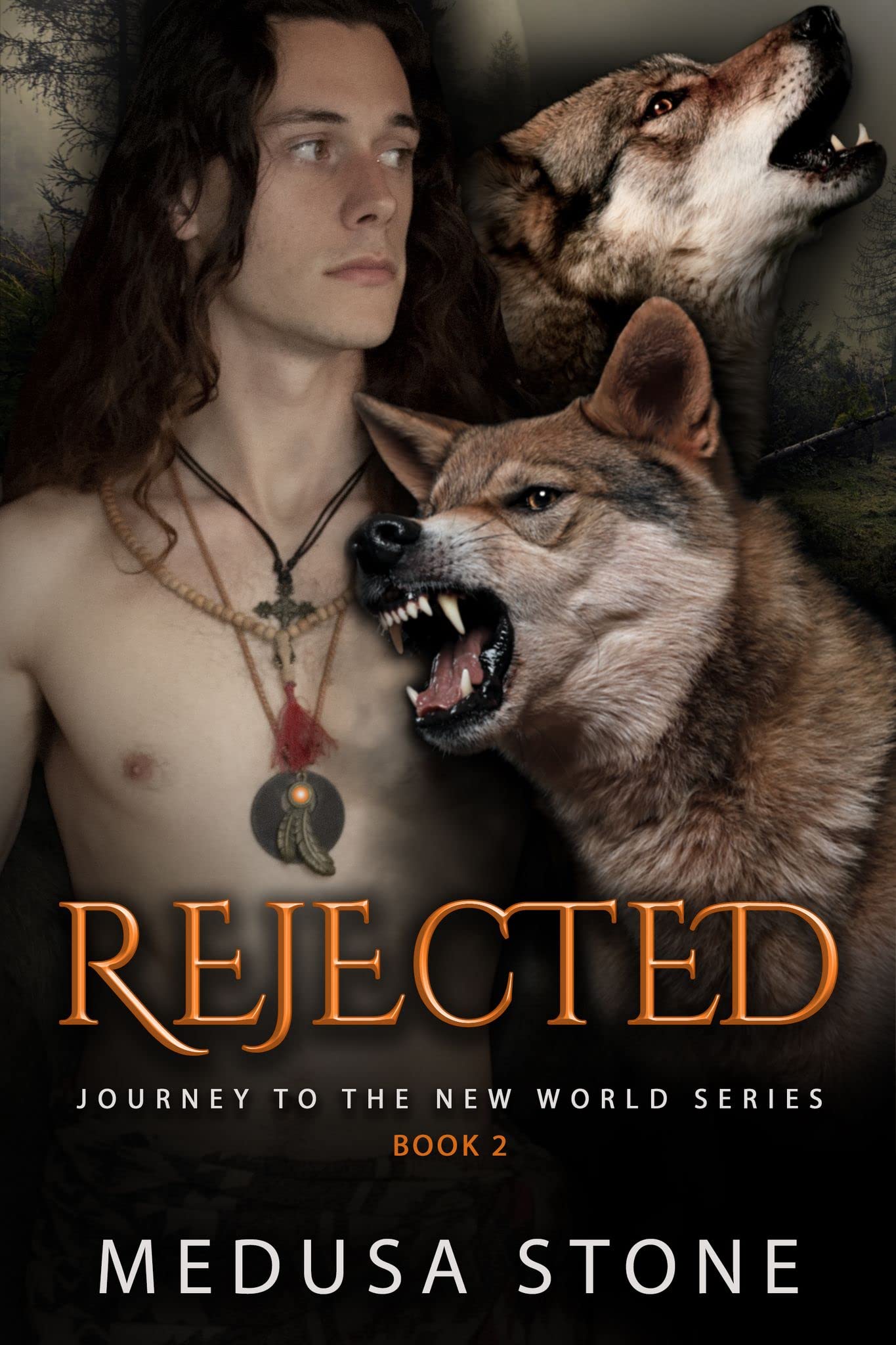 Rejected (Journey to the New World, #2) by Medusa Stone | Goodreads