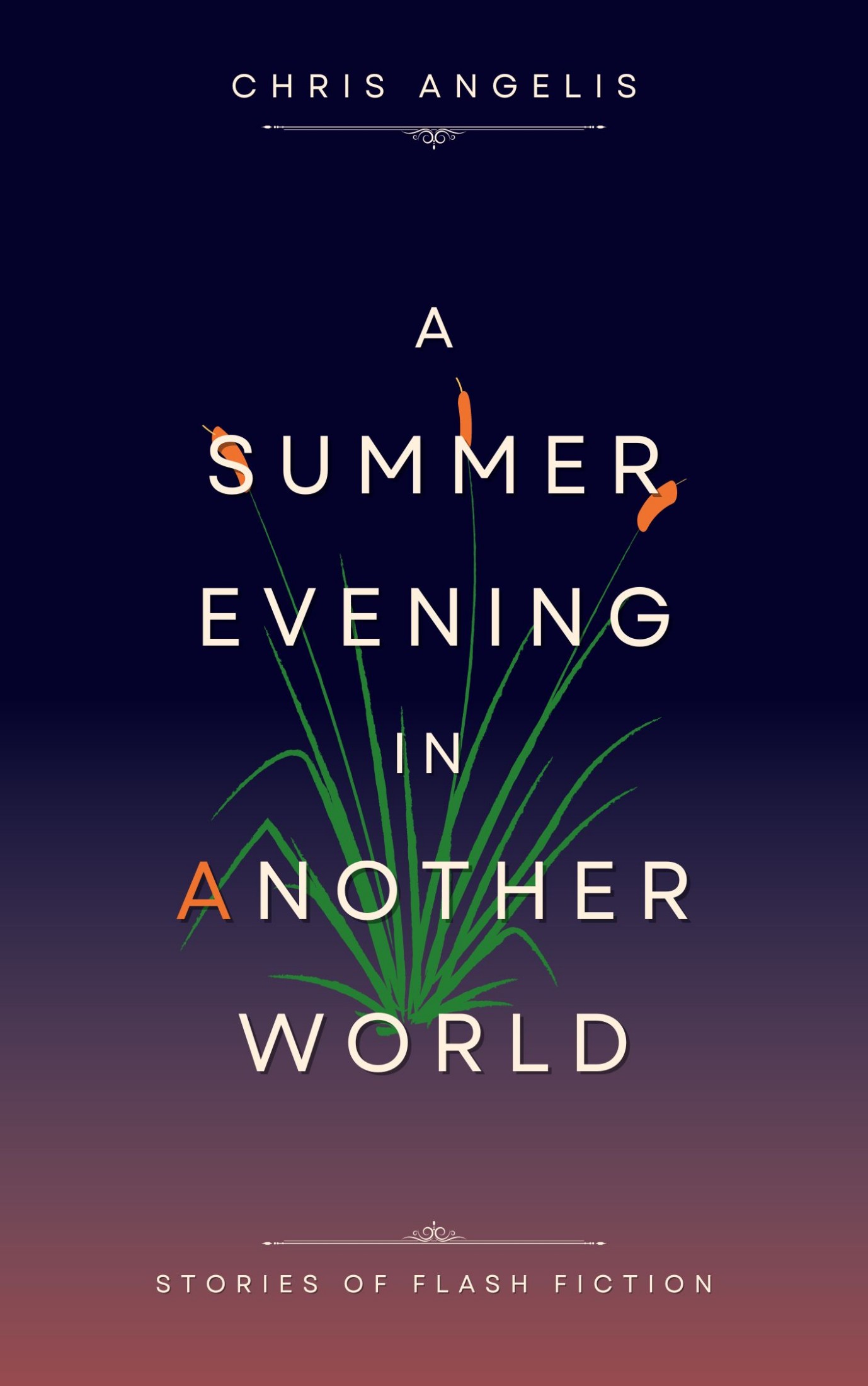 A Summer Evening in Another World: Stories of Flash Fiction by Chris ...