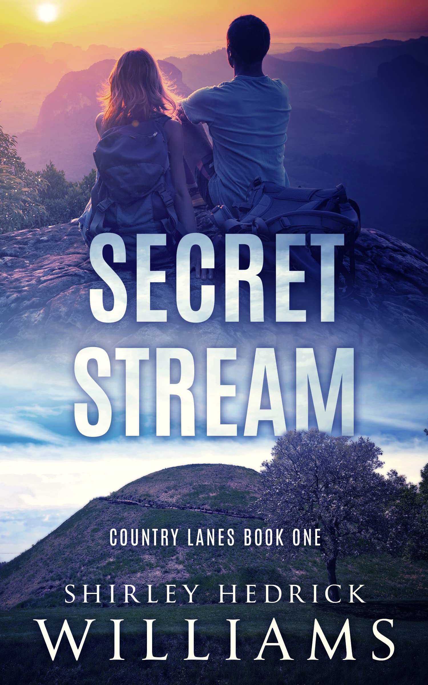 Secret Stream: A Tense, Page-Turning Christian Mystery and Sweet ...