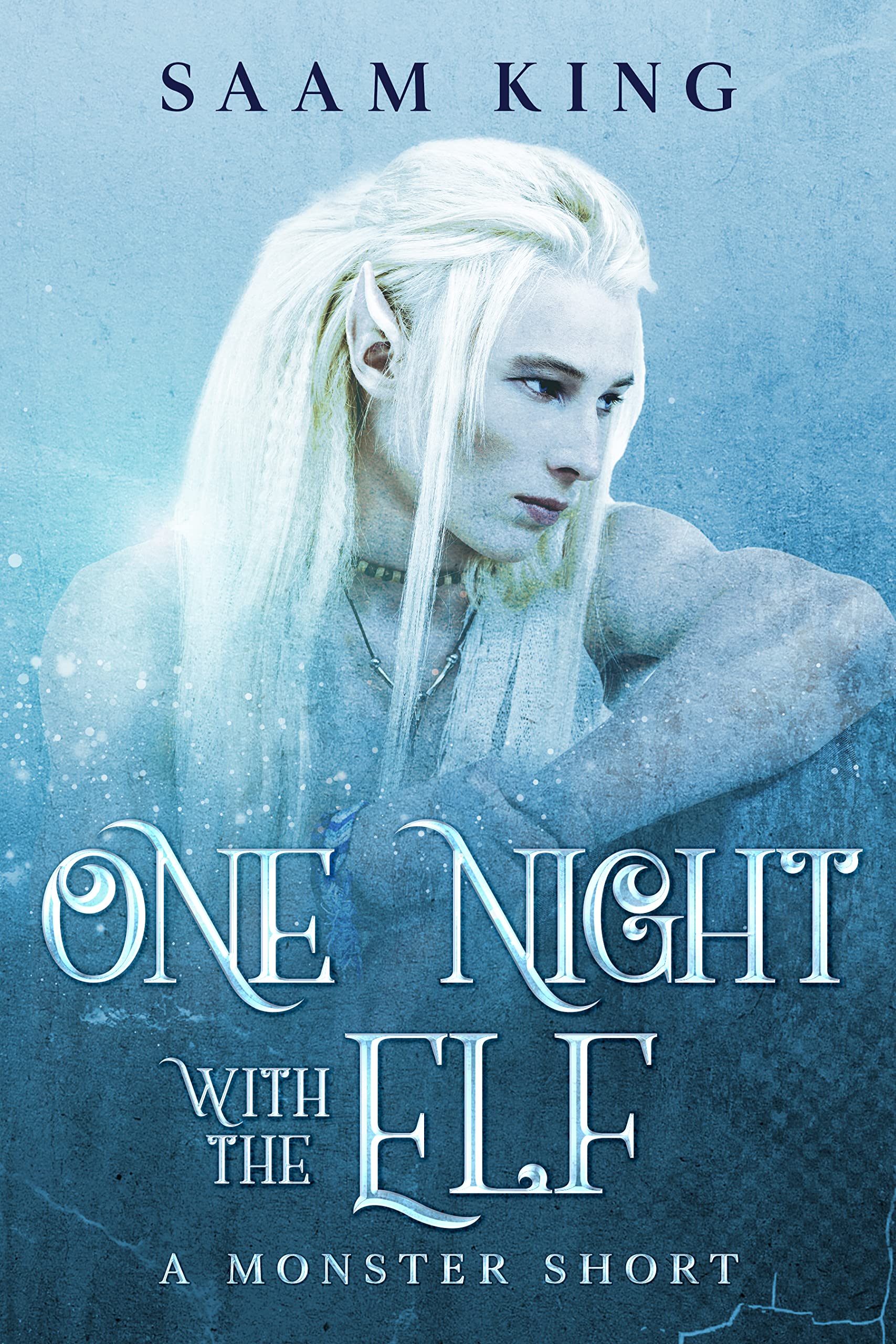 One Night with the Elf: A Monster Short (Monster Shorts) by Saam King ...