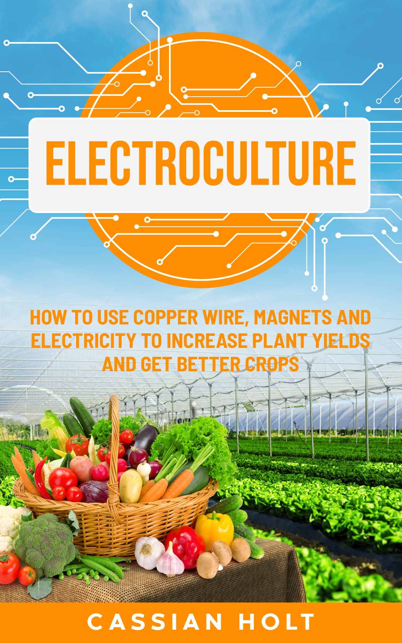 Electroculture: How to Use Copper Wire, Magnets, and Electricity to ...