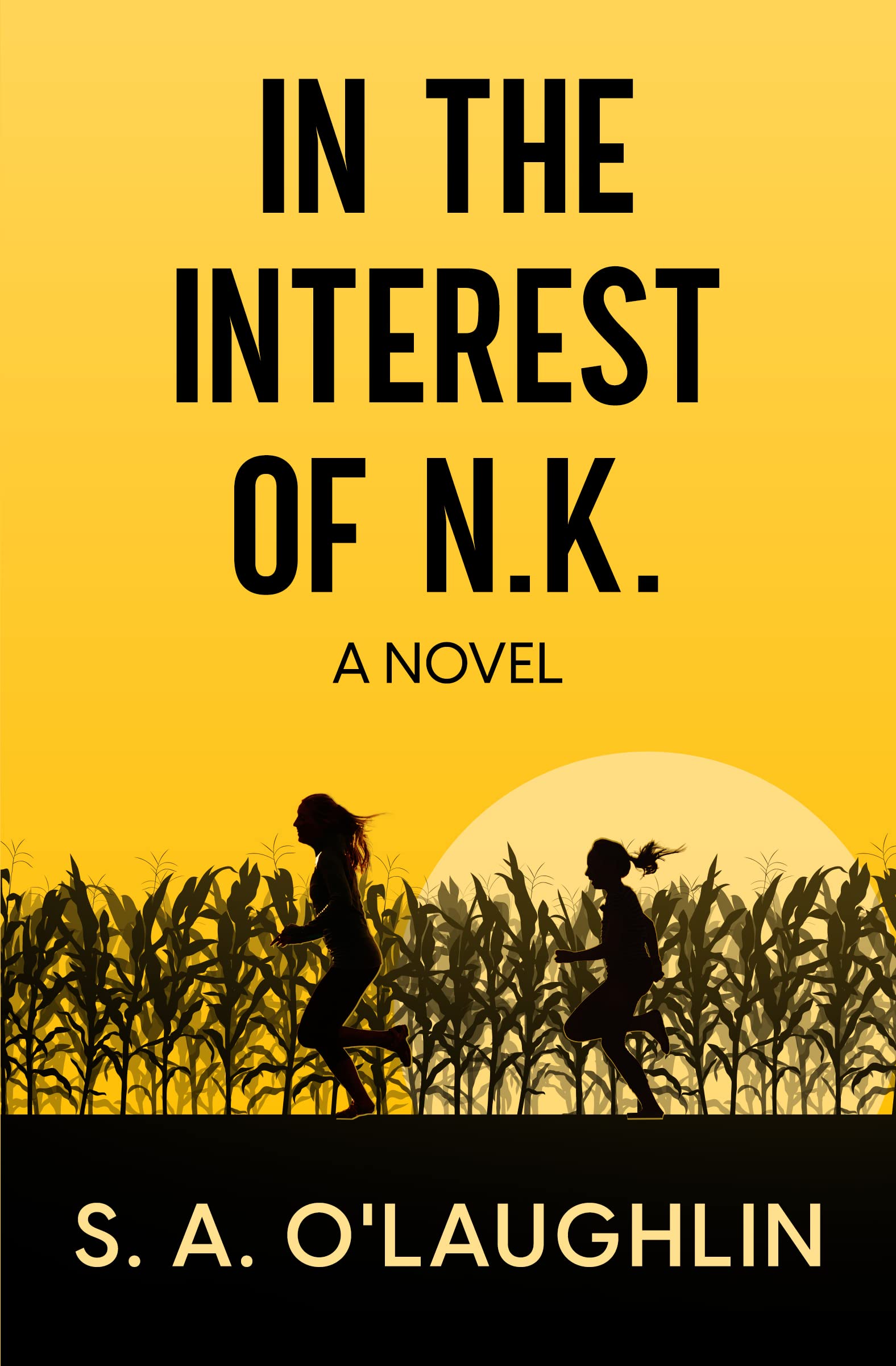 In the Interest of N.K.: A Novel by S. A. O'Laughlin | Goodreads