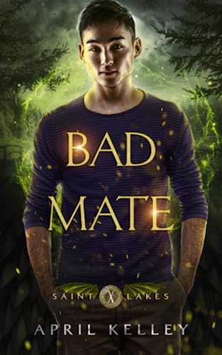 Bad Mate: A Vampire and Cat Shifter MM Paranormal Romance by April ...