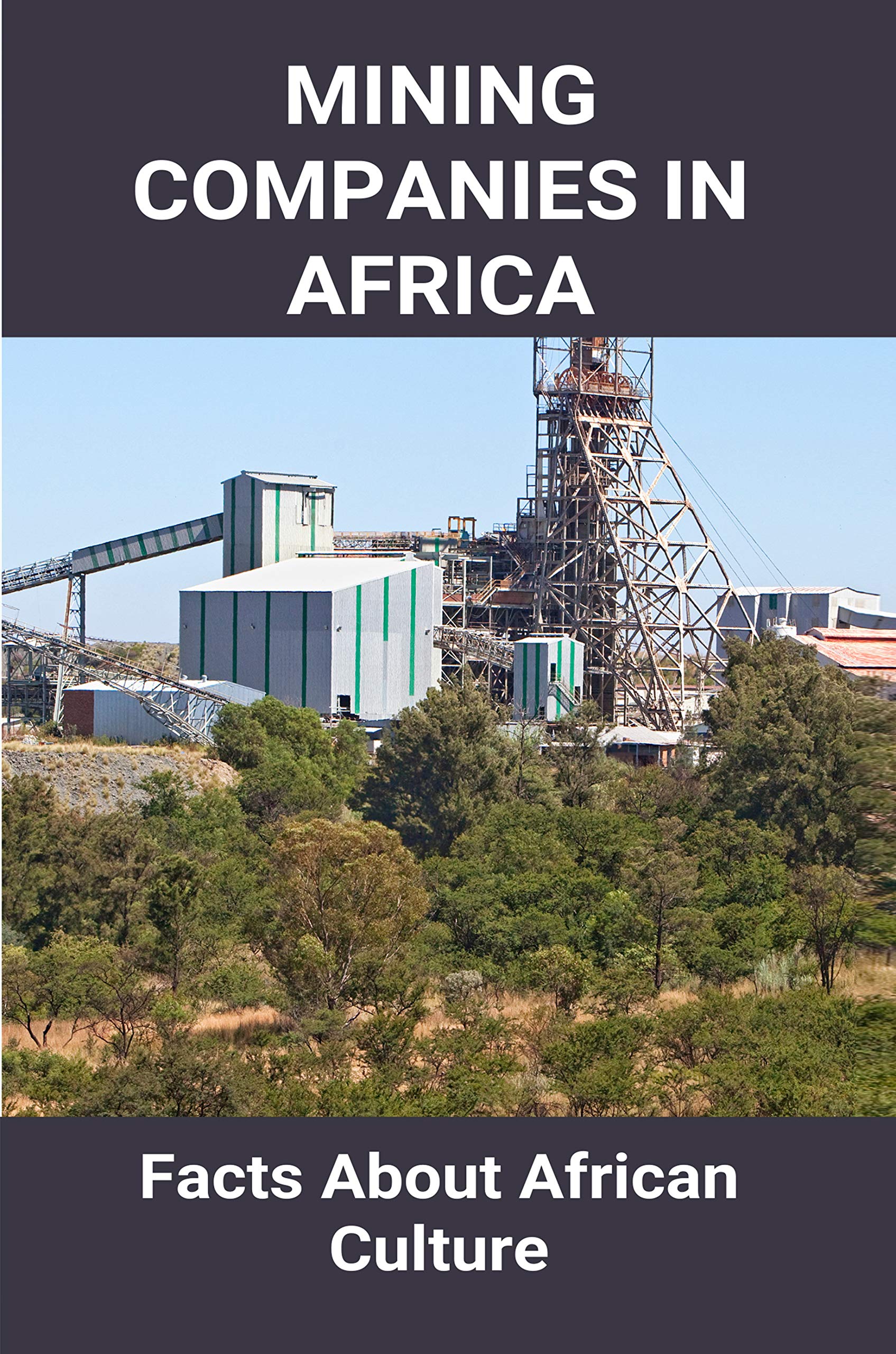 Mining Companies In Africa: Facts About African Culture: Mining ...